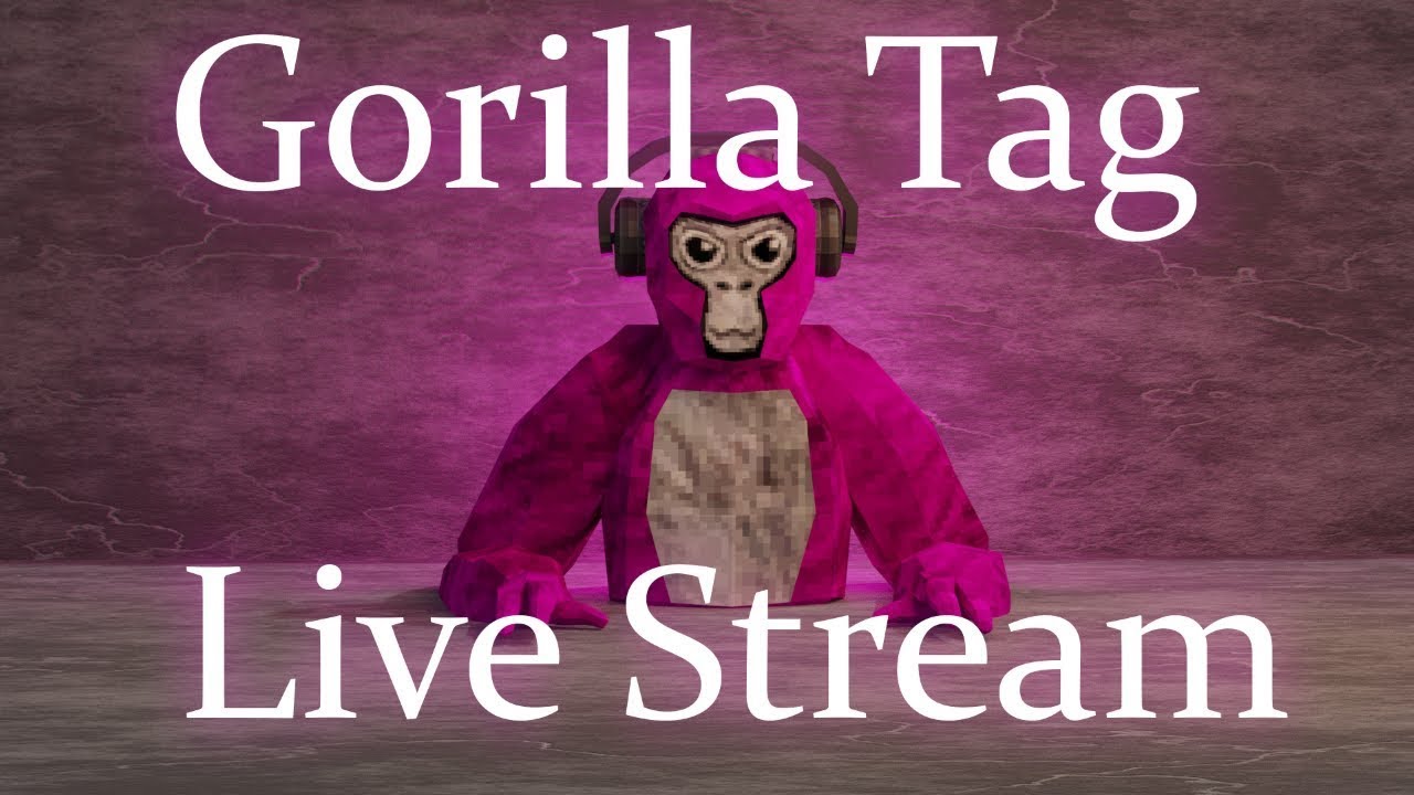 gtag live!!!!!!!! #gtag #vr #live - YouTube