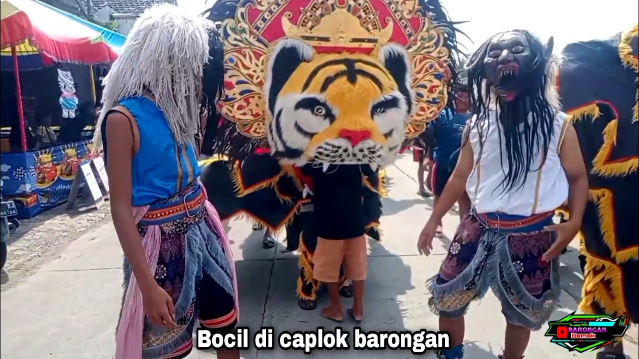 Bocil di caplok barongan ‼️ kirab Barongan Dewa Dewi di desa Kalianyar ...