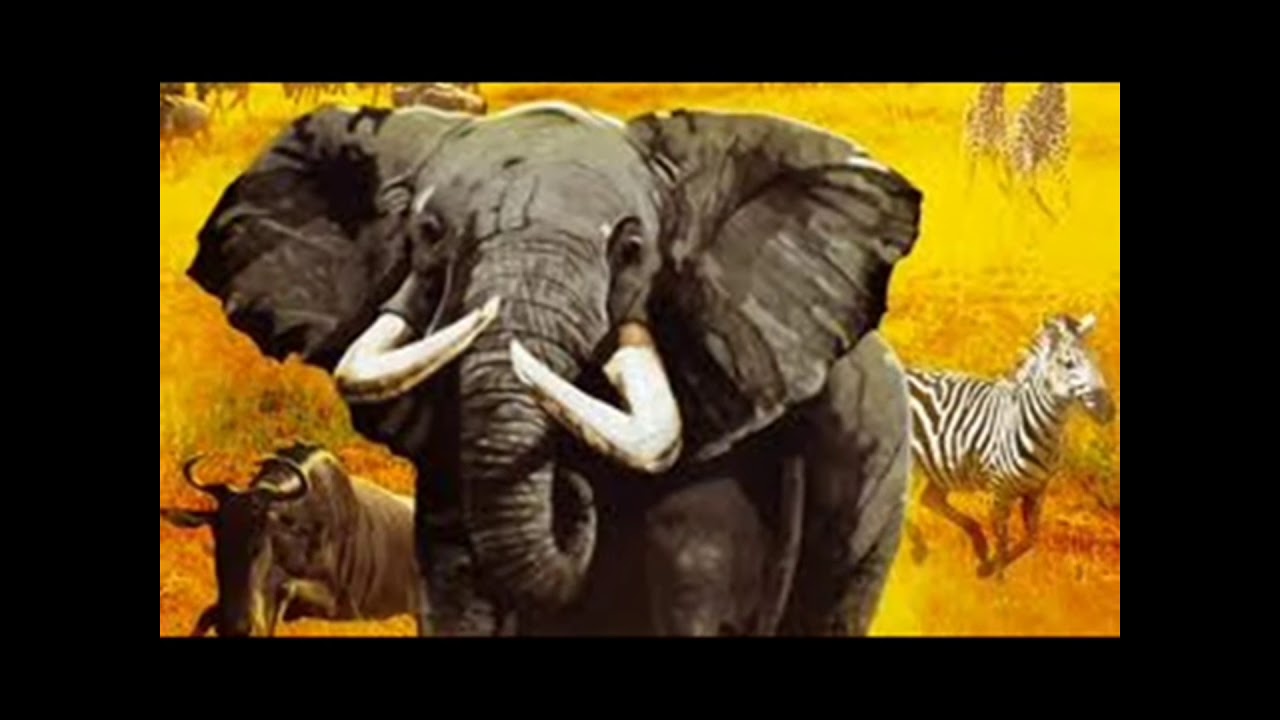 Assibonanga ( Savuka & Johnny Clegg) - YouTube