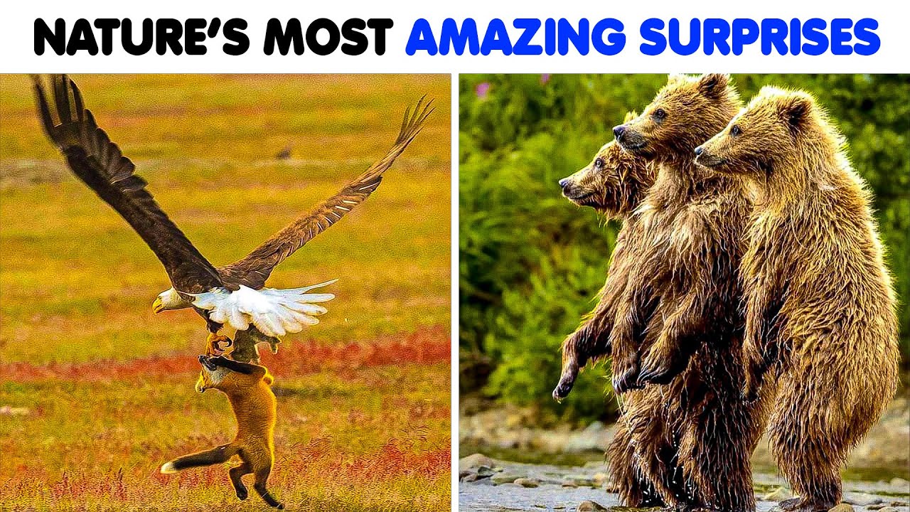 People Spotted Something Magnificent In Nature And Had To Share It ...