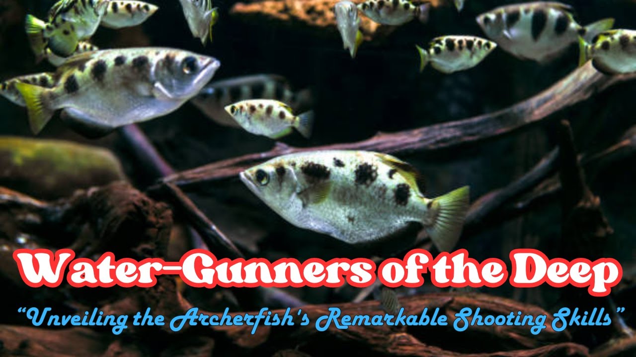 "Water-Gunners of the Deep: Unveiling the Archerfish's Remarkable ...