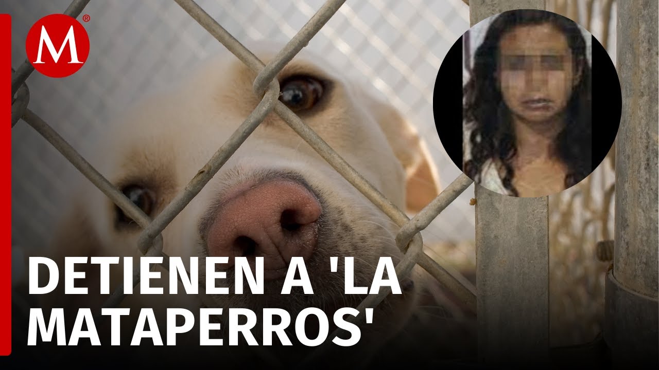 Celebran la detención de "La Mataperros” de Puebla - YouTube