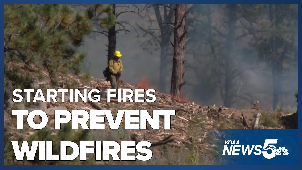 Why do we do prescribed burns? - YouTube