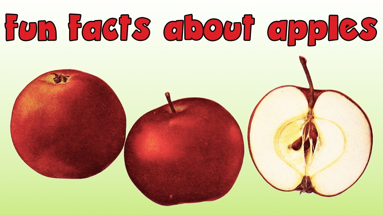 Apple Trivia (With Bonus Recipe) - YouTube