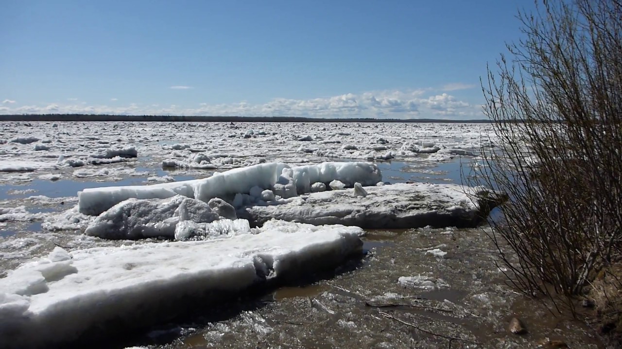 Main Yukon River ice flow 2017 - Stan Zuray - YouTube