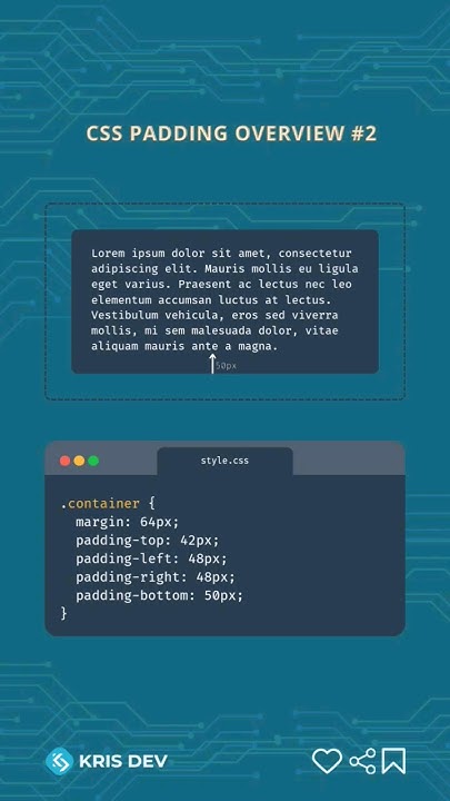 css padding overview part 1 basic #belajarcss #learncss #html #css - YouTube