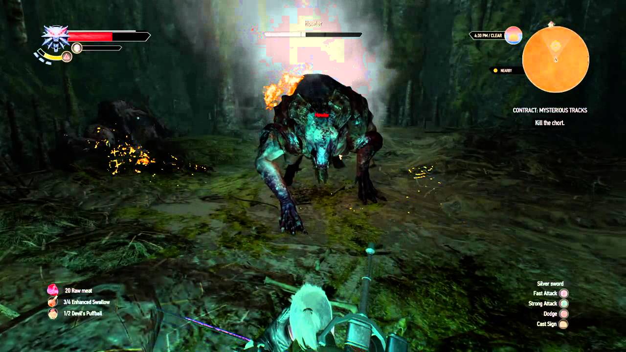 The Witcher 3: Wild Hunt Contract on Chort - YouTube