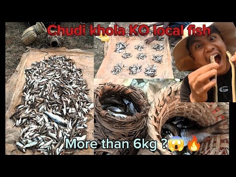 Amazing way of fishing in river🔥😱 . Nepali organic local fish ️ # ...