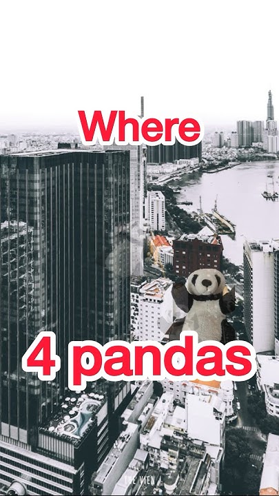 Find 4 pandas #shorts #hideandseek #panda - YouTube
