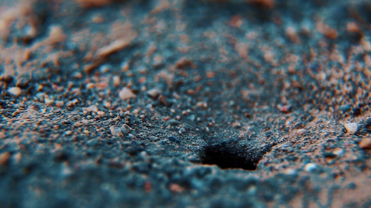 Dont step on ants - YouTube