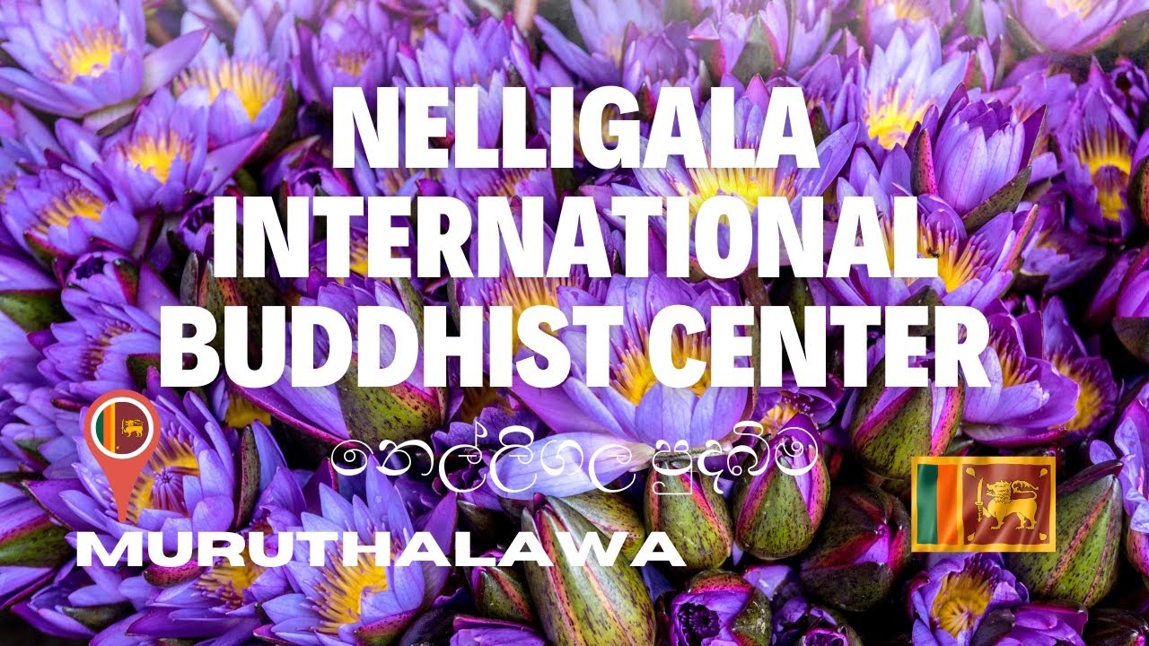 Nelligala International Buddhist Temple | නෙල්ලිගල පුදබිම 🛕 ☸️ 🪔 🪷 🇱🇰 ...