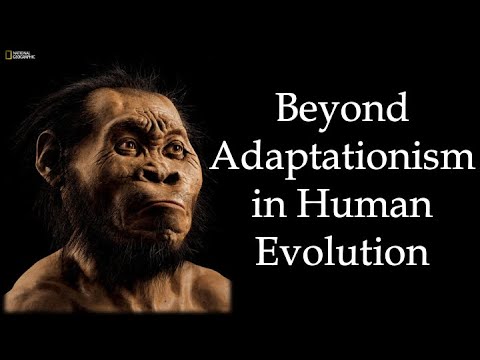 Most Human Evolution Wasn't Adaptive - Go IT