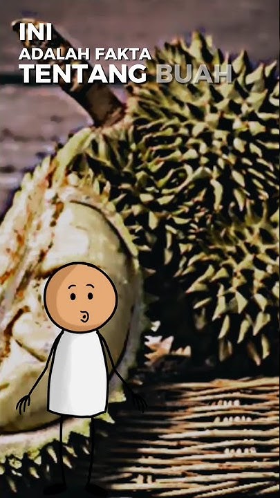 fakta buah durian #shortsfeed - YouTube