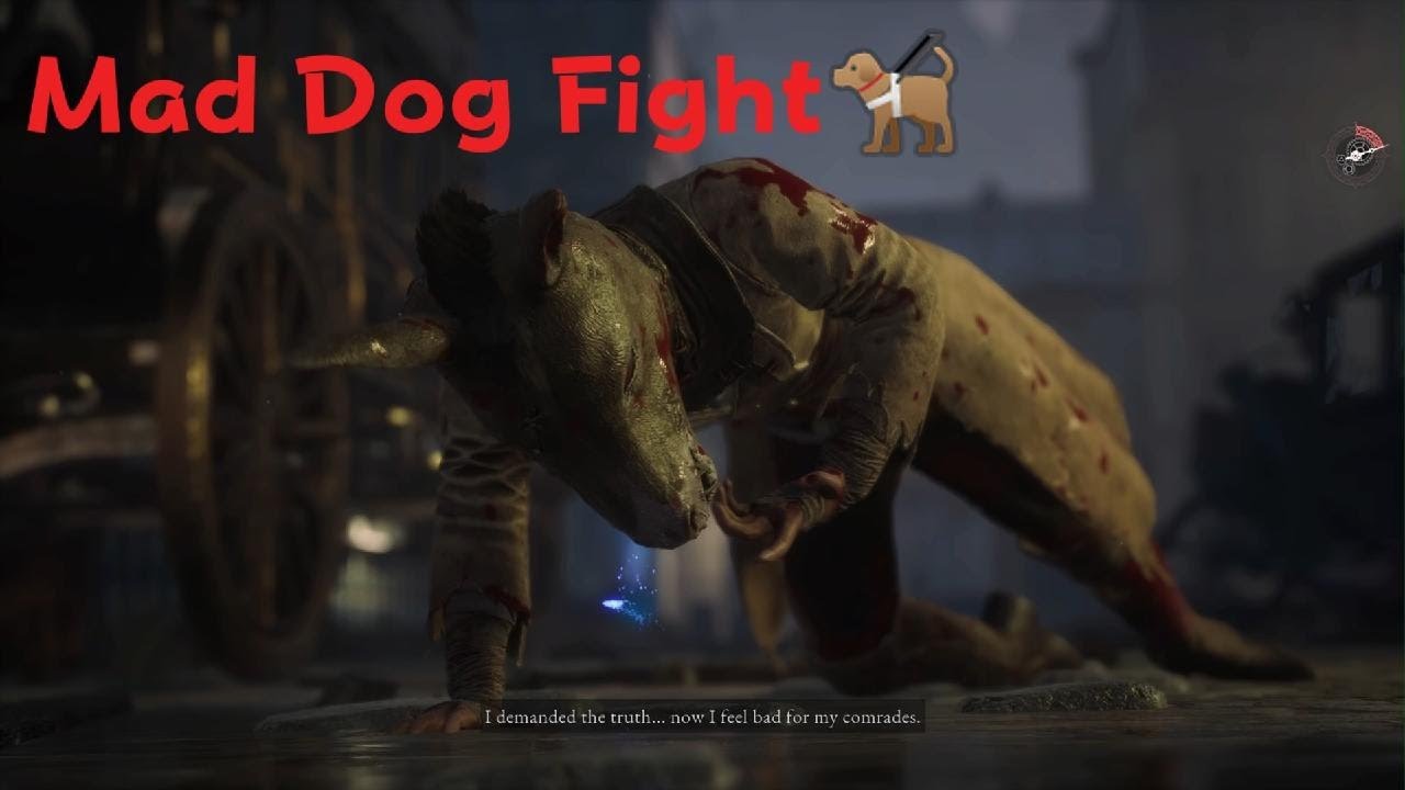 Mad Dog Fight Lies of P - YouTube