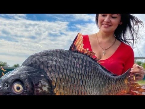 A huge 12kg CARP with Real CAVIAR Inside! Incredibly delicious fish ...