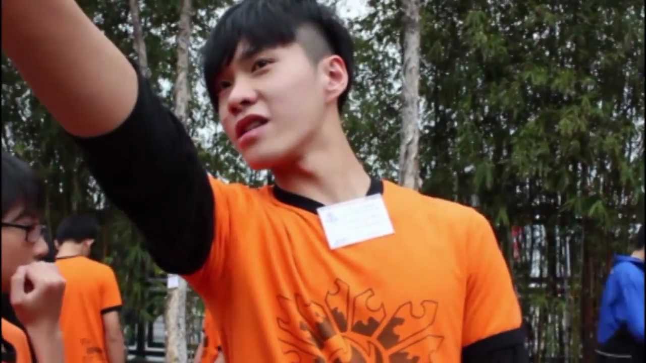 Tulip Training - YouTube