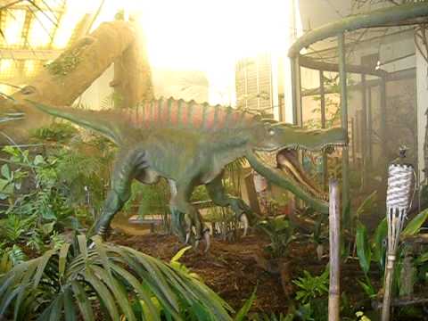 Dinosaurs @ the Zoo