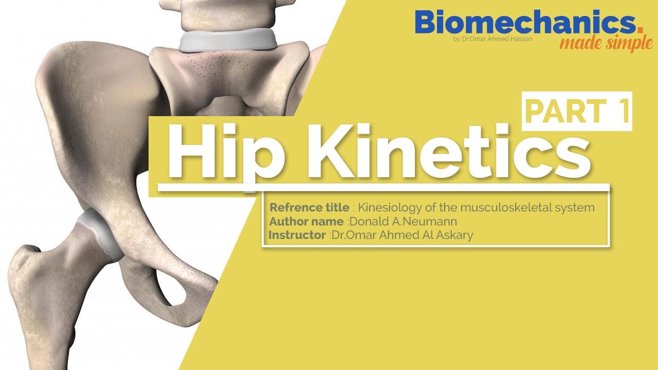 Hip Kinetics Part 1 Of 2 Biomechanics Made Simple YouTube