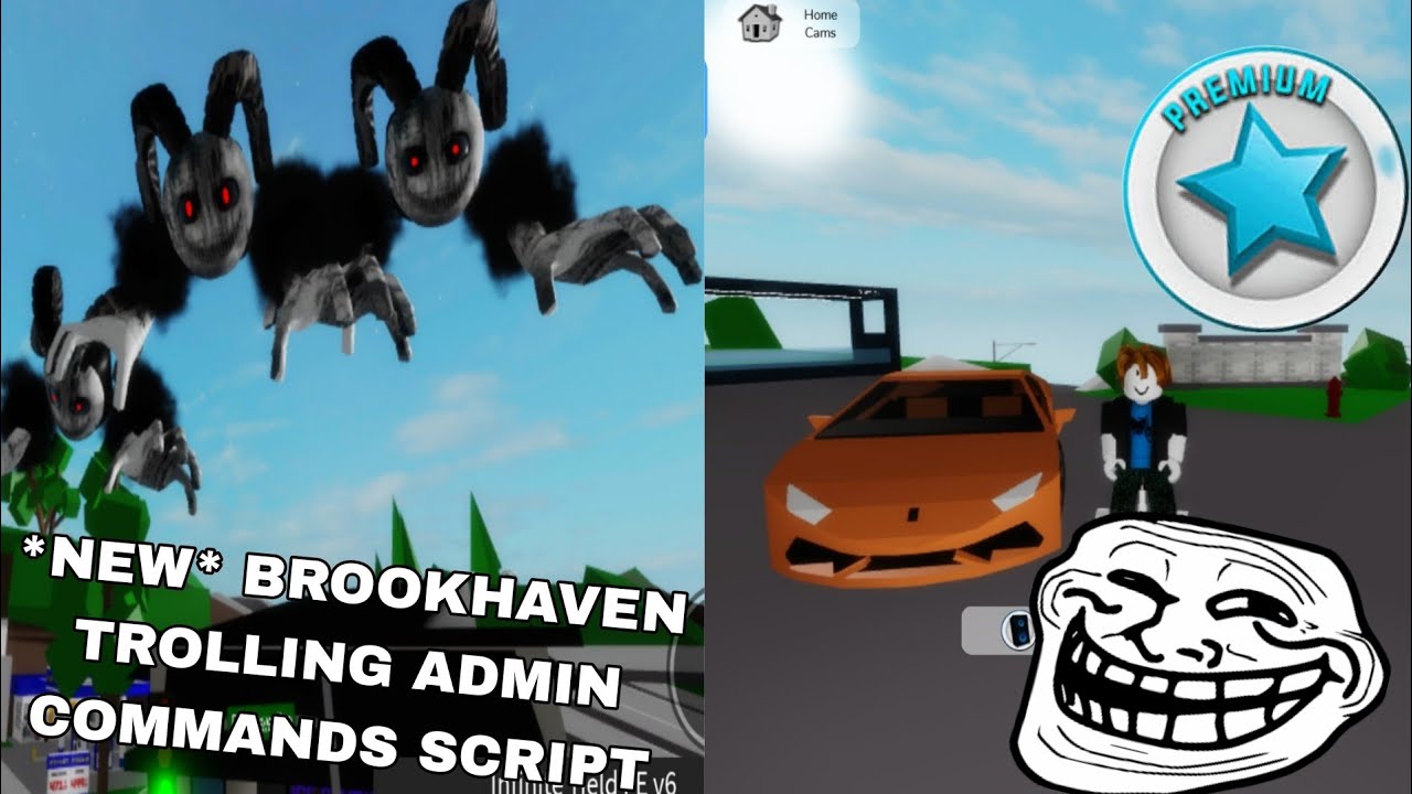 *NEW* Brookhaven Trolling Admin Commands Script | OnionLibrary Fluxus ...