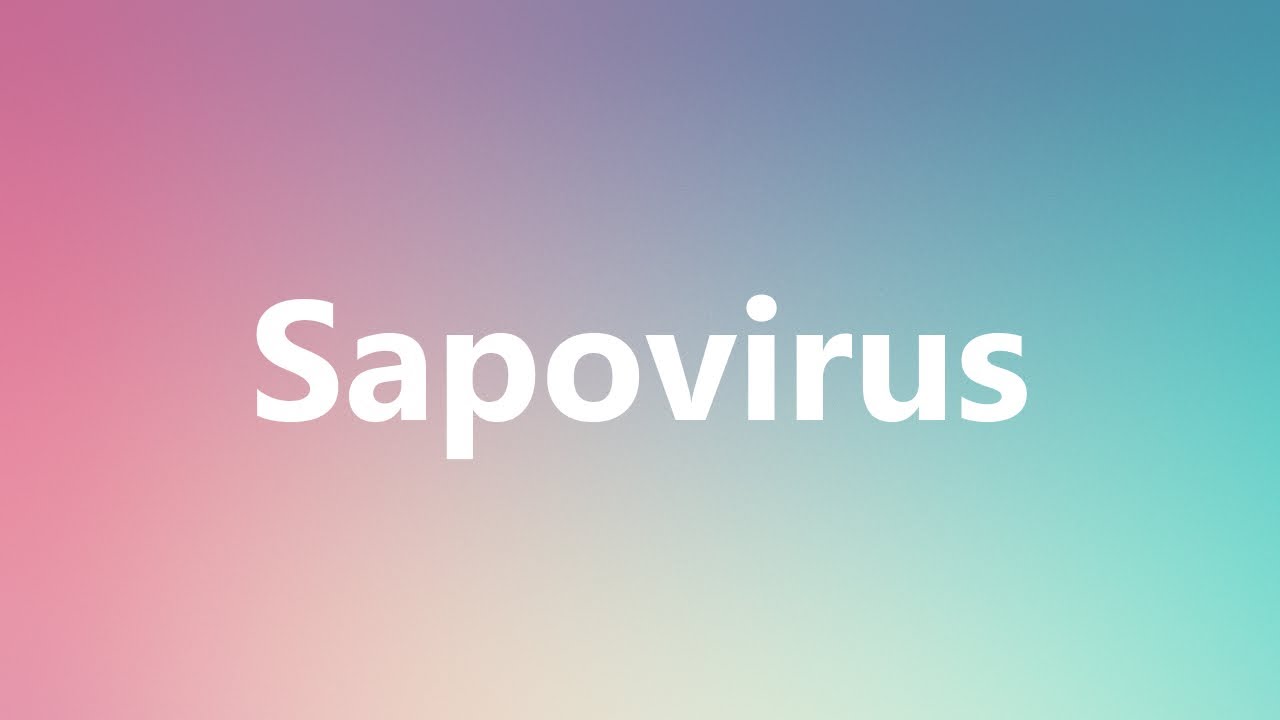Sapovirus - Medical Meaning and Pronunciation - YouTube