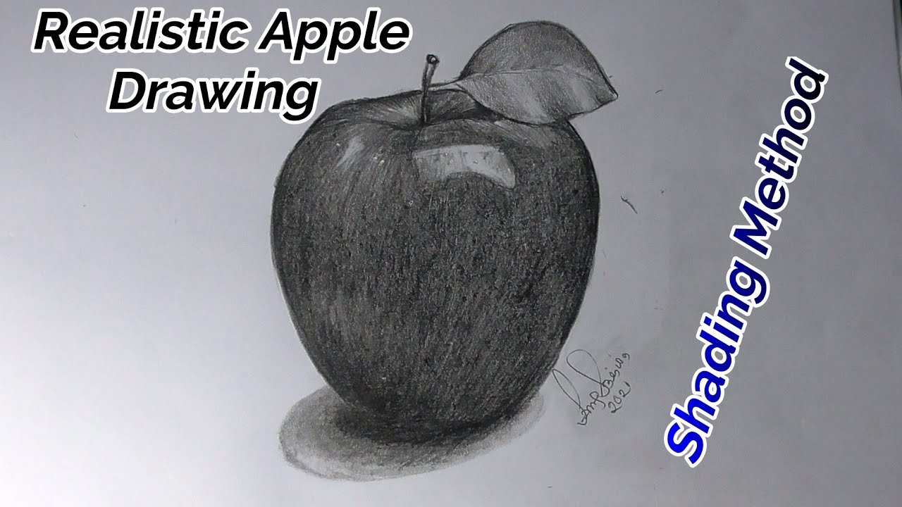 Realistic Apple Drawing Tutorial / how to use pencil stocks / Hyper ...