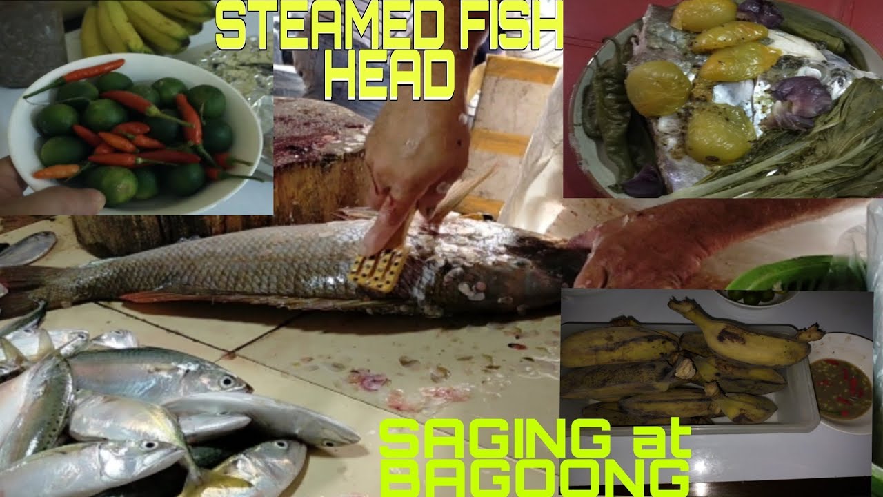 STEAMED FISH HEAD + SAGING at BAGOONG - YouTube