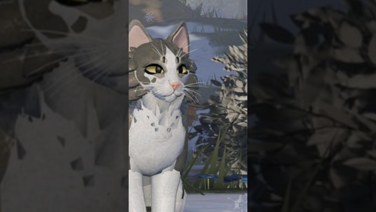 morph inspiration ` - YouTube