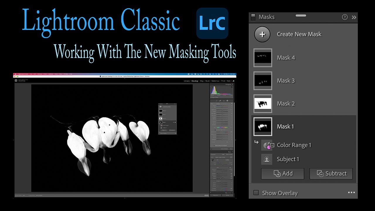 Working With the New LIGHTROOM CLASSIC Masking Tools (Part 2) - YouTube