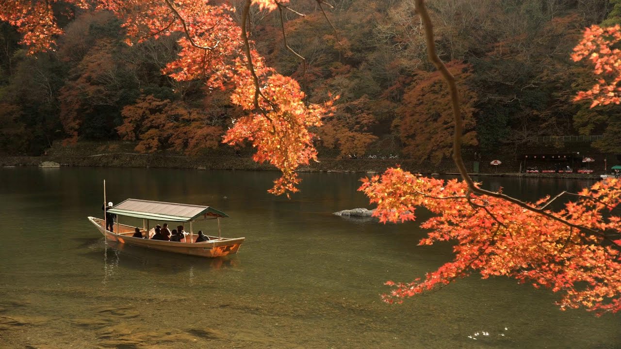Relaxing Fall Music| Perfect music for Relaxation Sleep with Fall ...