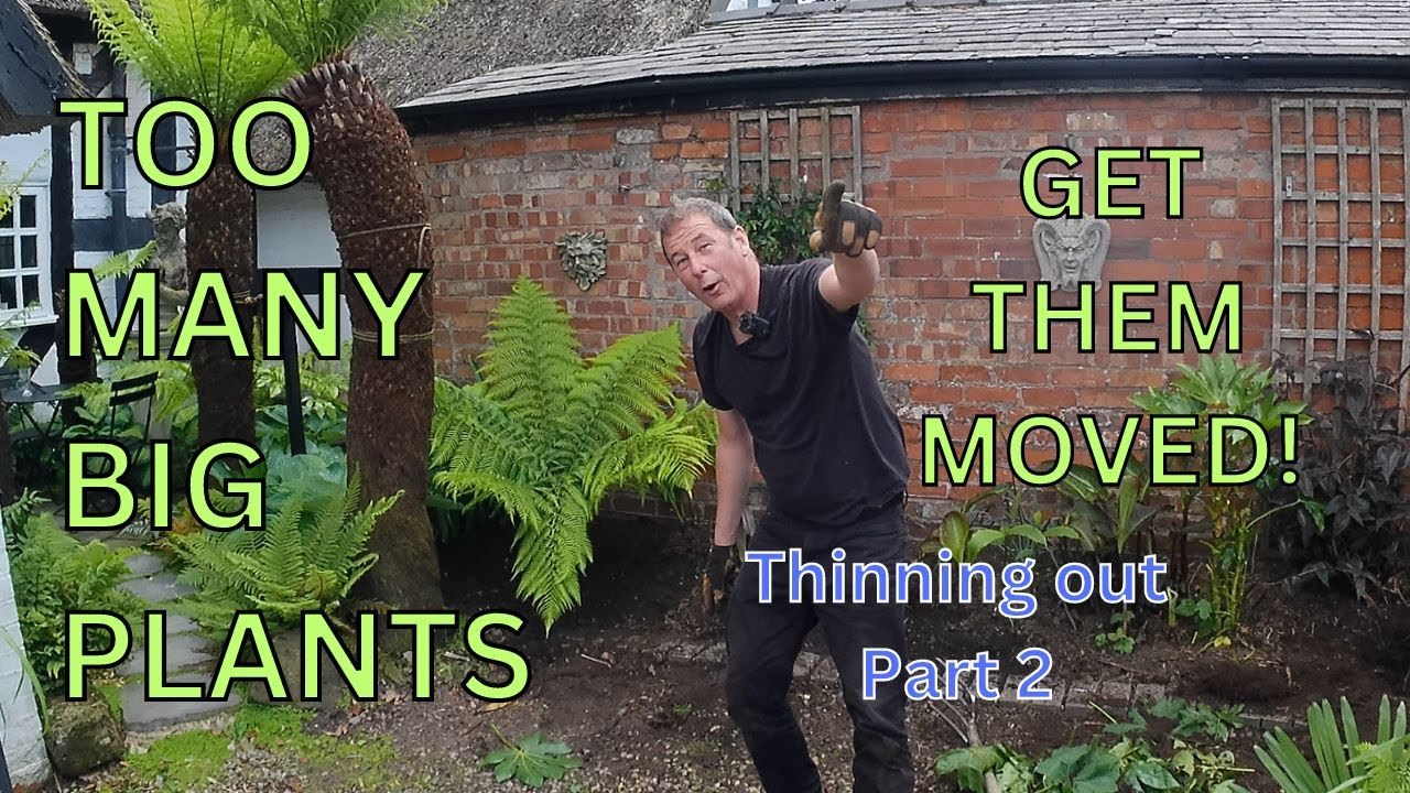 A Hard Days Work in the Garden (Gardening UK) WATCH ME GRAFT! - YouTube