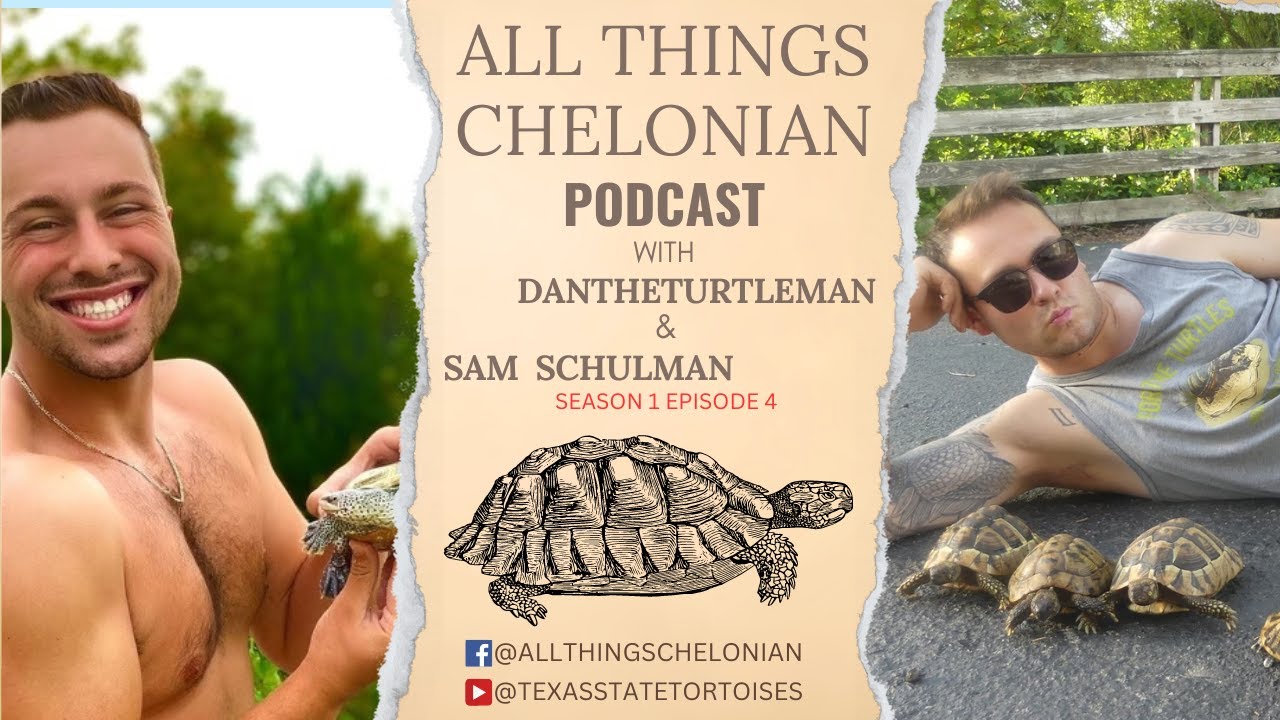 ALL THINGS CHELONIAN EP 4 DAN & SAM - YouTube