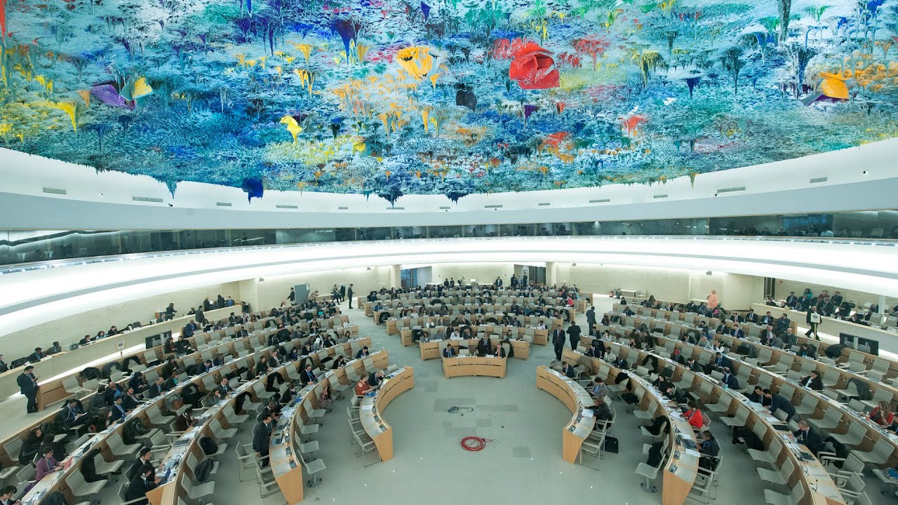 UNITED NATIONS HUMAN RIGHTS COUNCIL DEBATE ON RACISM AND POLICE ...