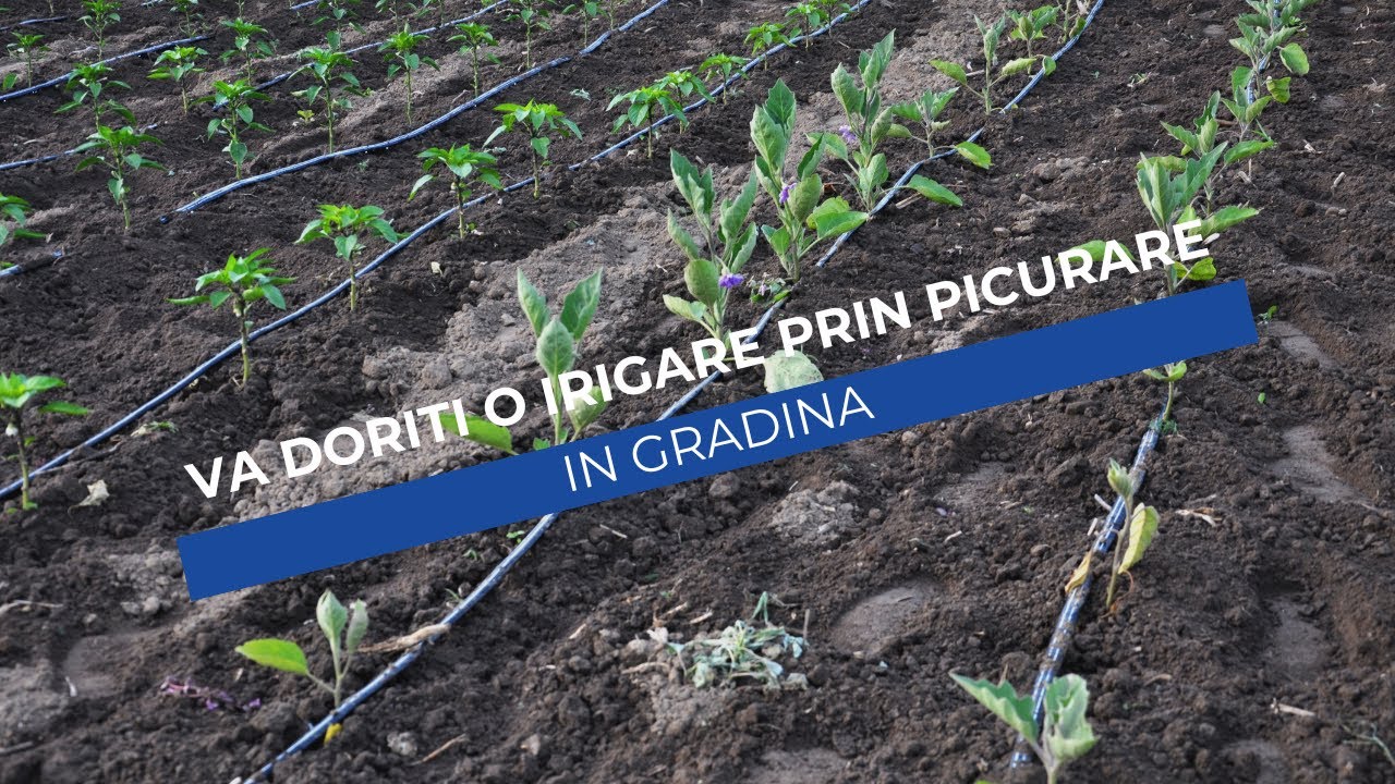 Tot ce aveti nevoie pentru irigarea prin picurare si sistemele de udare | Hydrostab - YouTube