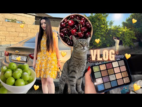 BAKİDA 2Cİ EV ALDIM? 🌳 KƏND HEYATI VLOG 🇦🇿 Ayka 14
