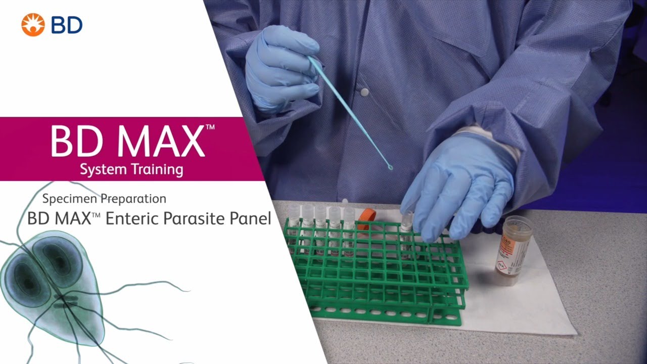 BD MAX™ Enteric Parasite Panel │ Specimen Preparation - YouTube