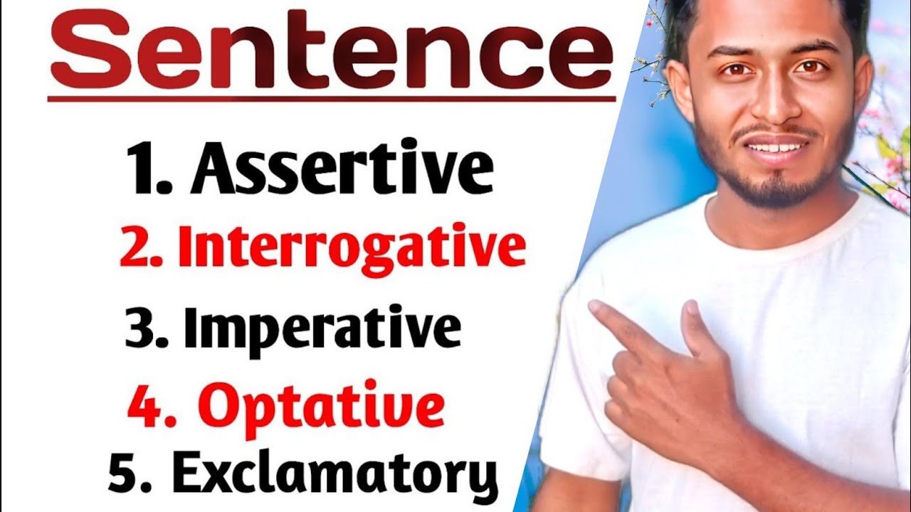 Sentence | Kinds of Sentence | Basic English Learning Journey Class 2 ...