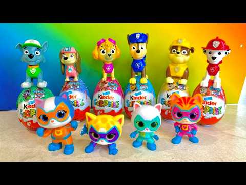 Paw Patrol & Super Kitties Surprise Mystery Eggs!🤪