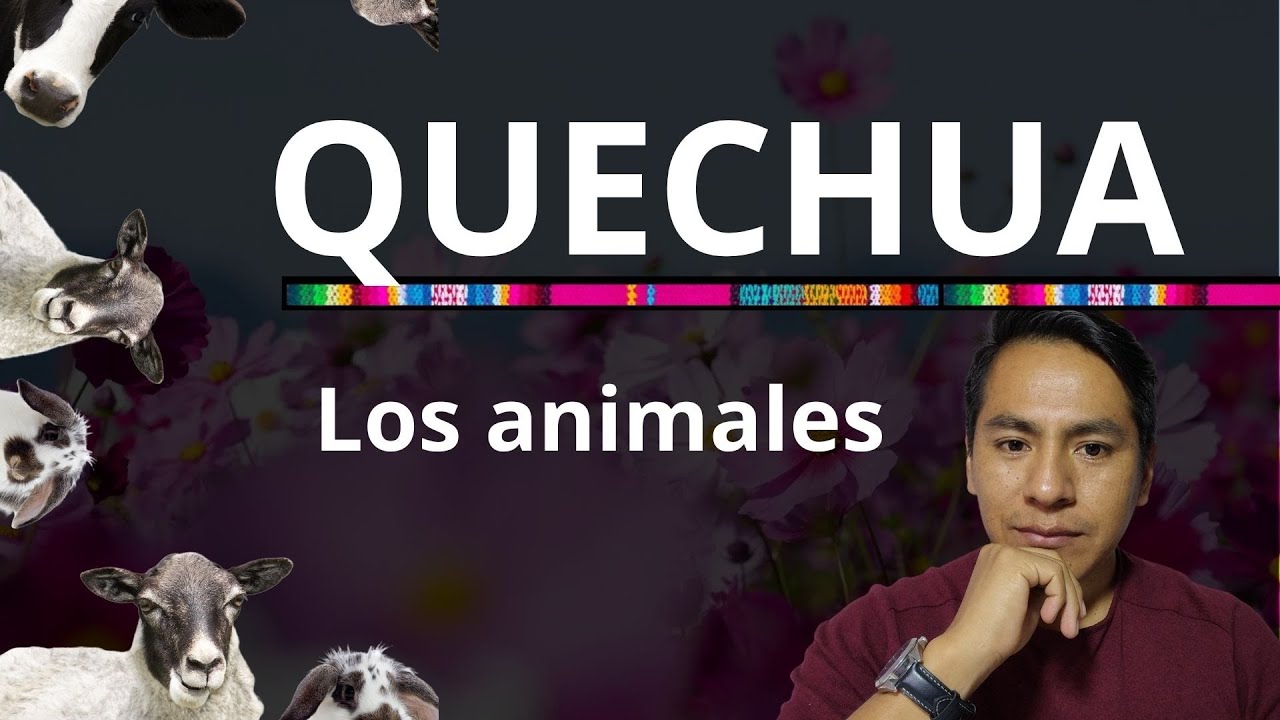 Aprende los animales en QUECHUA//2023 - YouTube