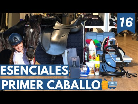 Equipamiento Básico que Necesitas para tu Primer Caballo