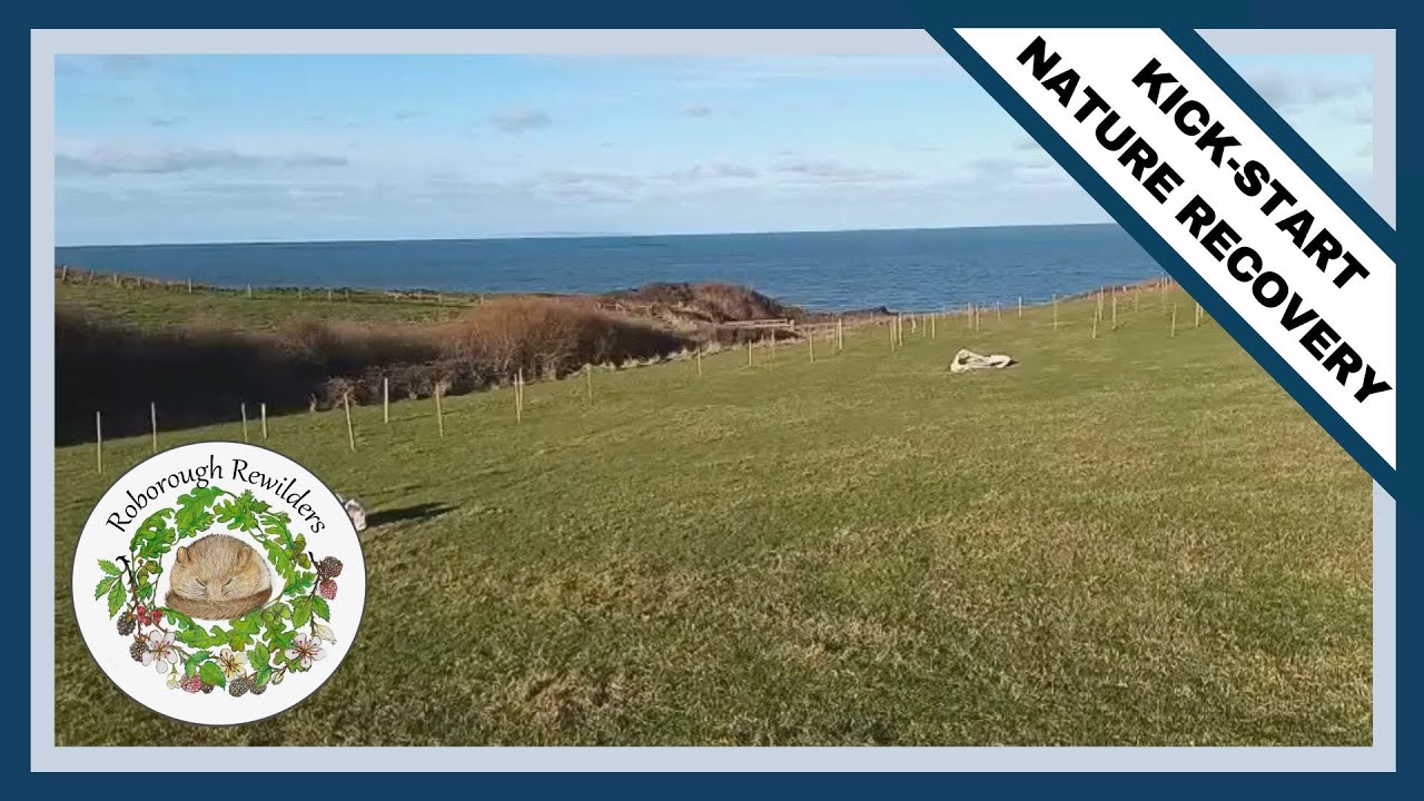 The Greencliff Project - Digging Wildlife Ponds (Phase 2, Day 1) - YouTube