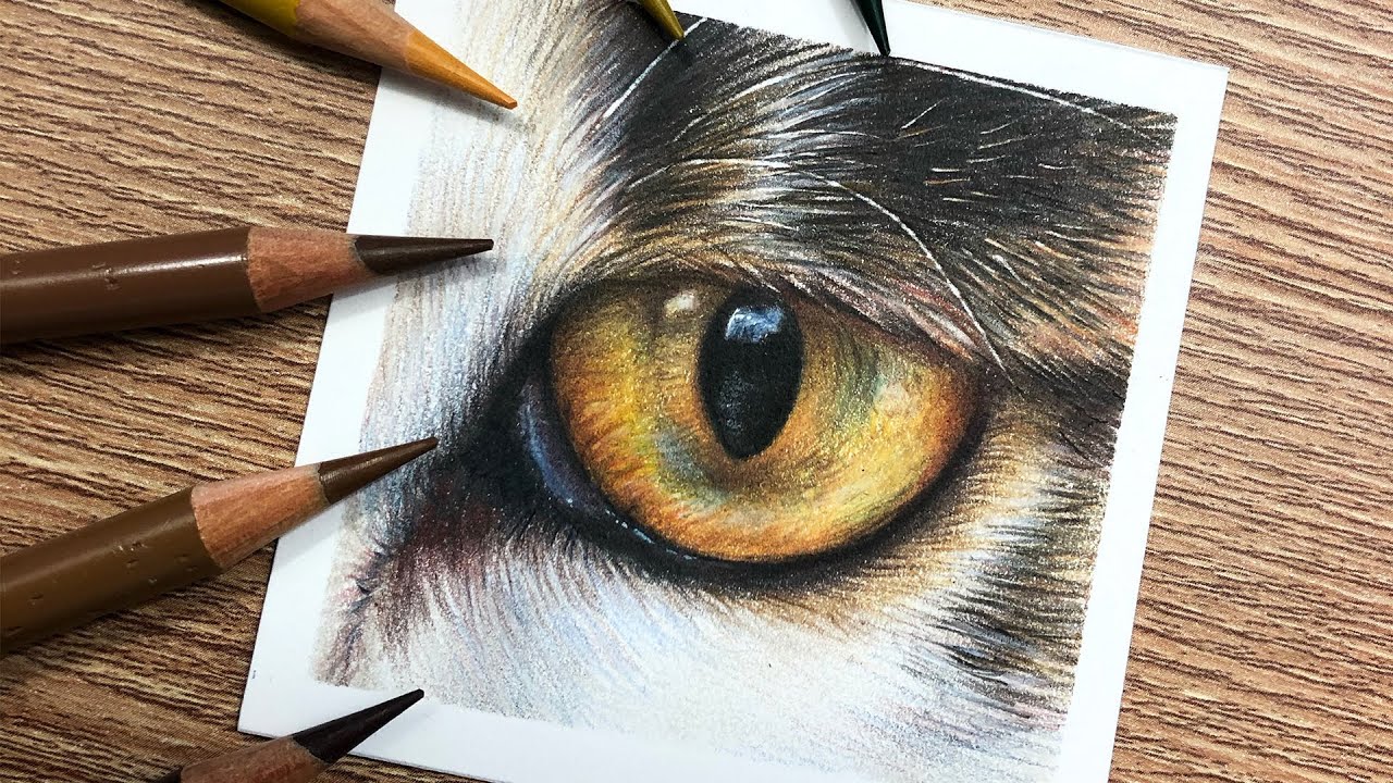 REAL TIME Cat Eye Tutorial | Tabby Fur Coloured Pencil Tutorial - YouTube