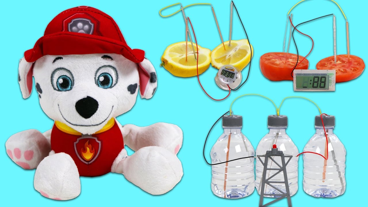 Science Experiment Lemon Battery With Paw Patrol Marshall! - YouTube