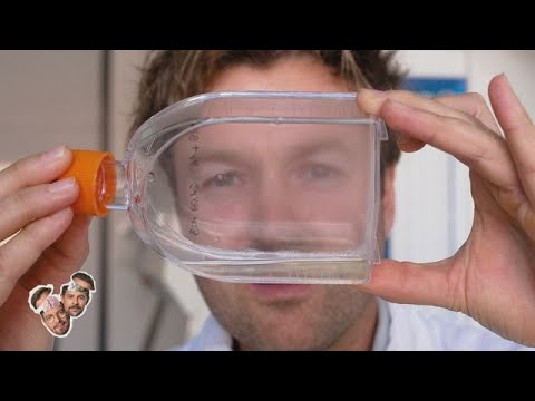 Von Tollwut bis Ebola: Die gefährlichen Viren auf der Ostsee-Insel Riems | Galileo | ProSieben
