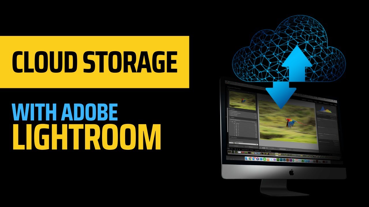 Working with Lr and LrC with cloud storage backup. - YouTube