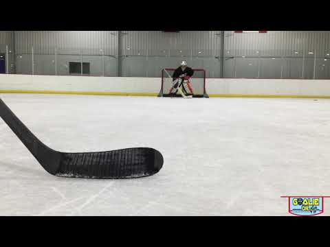 The Goalie Doctor - Ryan Harris & Ajay White - 07-08-2020 - YouTube