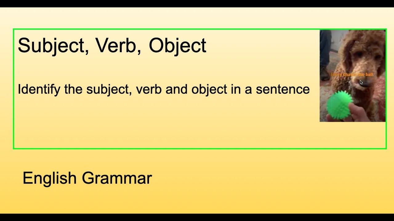 Subject, Verb, Object in a sentence. Harry plays with the ball. # ...