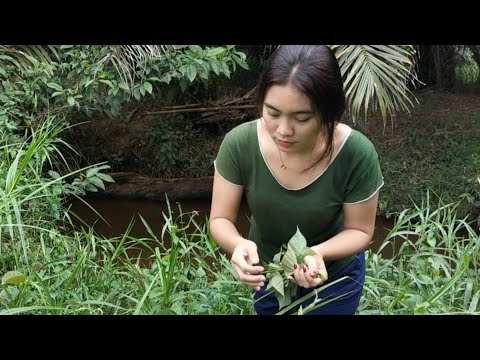 Gadis Dayak || Ragam Sayur Kebun Masyarakat Suku Dayak Kalimantan