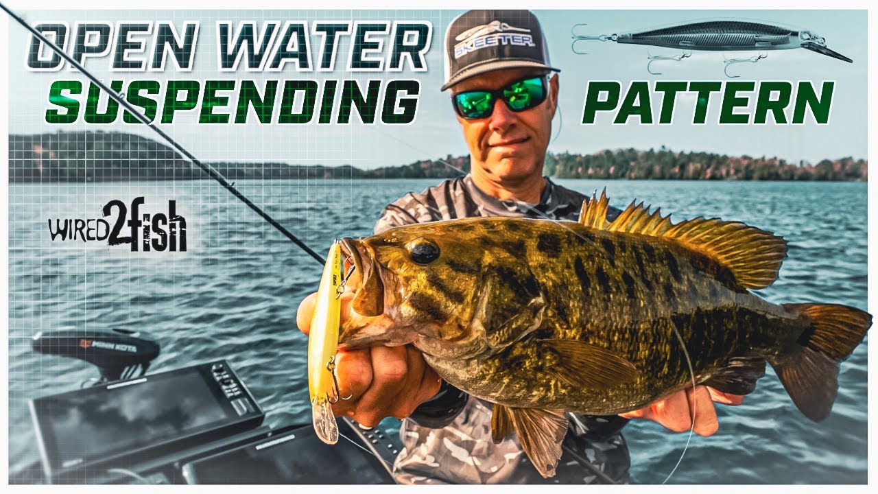 Jerkbaits for Open Water Bass with Forward-Facing Sonar - YouTube