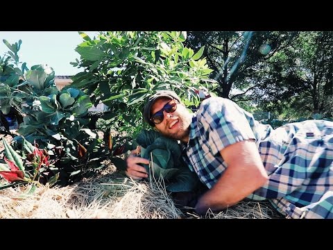 the BACKYARD GARDEN - For Almost Anyone - YouTube