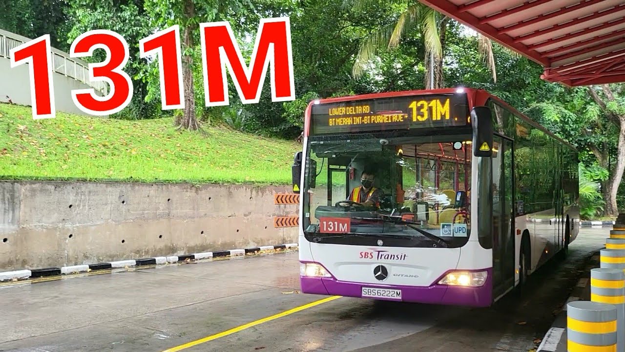 SBS6222M - SBS Bus Service 131M [Mercedes-Benz O530 Citaro (Batch 1 ...